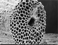 SEM/EDS - ZENH LAB 苏州正衡检测