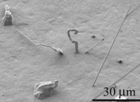 SEM/EDS - ZENH LAB 苏州正衡检测