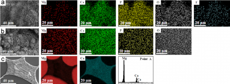 SEM/EDS - ZENH LAB 苏州正衡检测